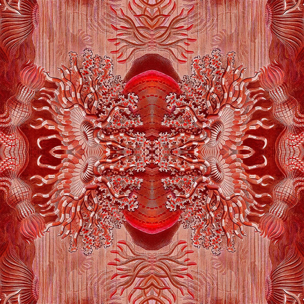 Fantasy Red– w-allpaper